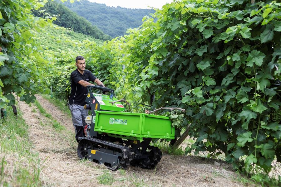 Mini dumper sur chenilles Cingo : Polyvalence en trois versions